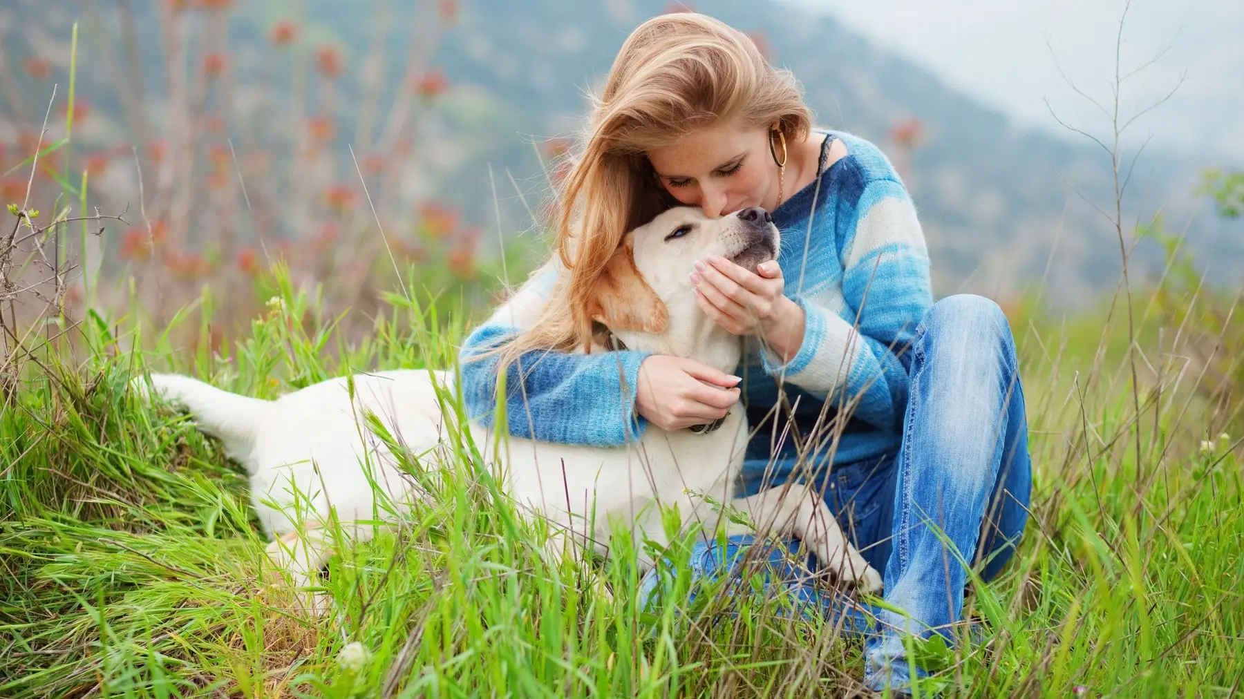 Objavljeno novo istraživanje: Kućni ljubimci pružaju veću utehu od partnera u stresnim trenucima